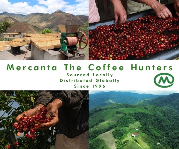 New Coffee Grinders at the 2025 Specialty Coffee Expo