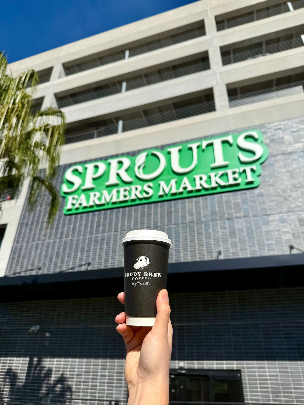 10 New Buddy Brew Cafes Planned for Florida Sprouts Stores