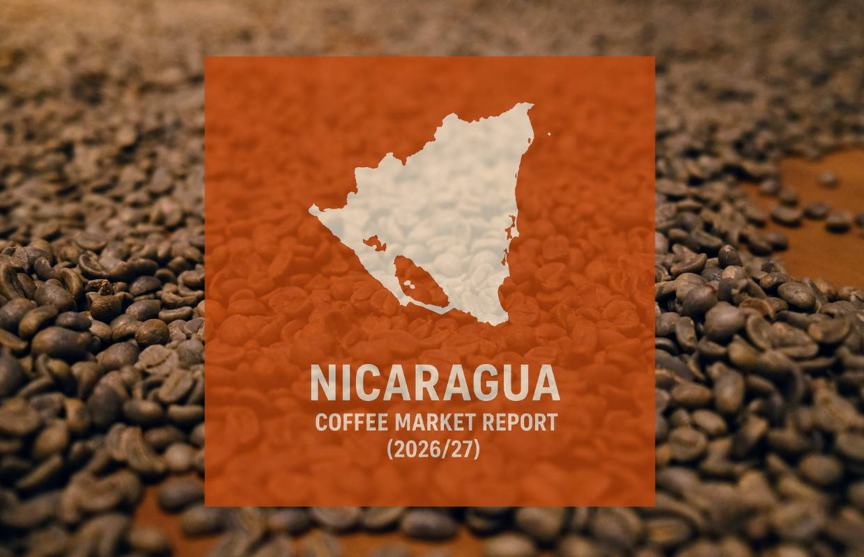 Nicaragua Coffee Report: Weather and Costs Hurting Production